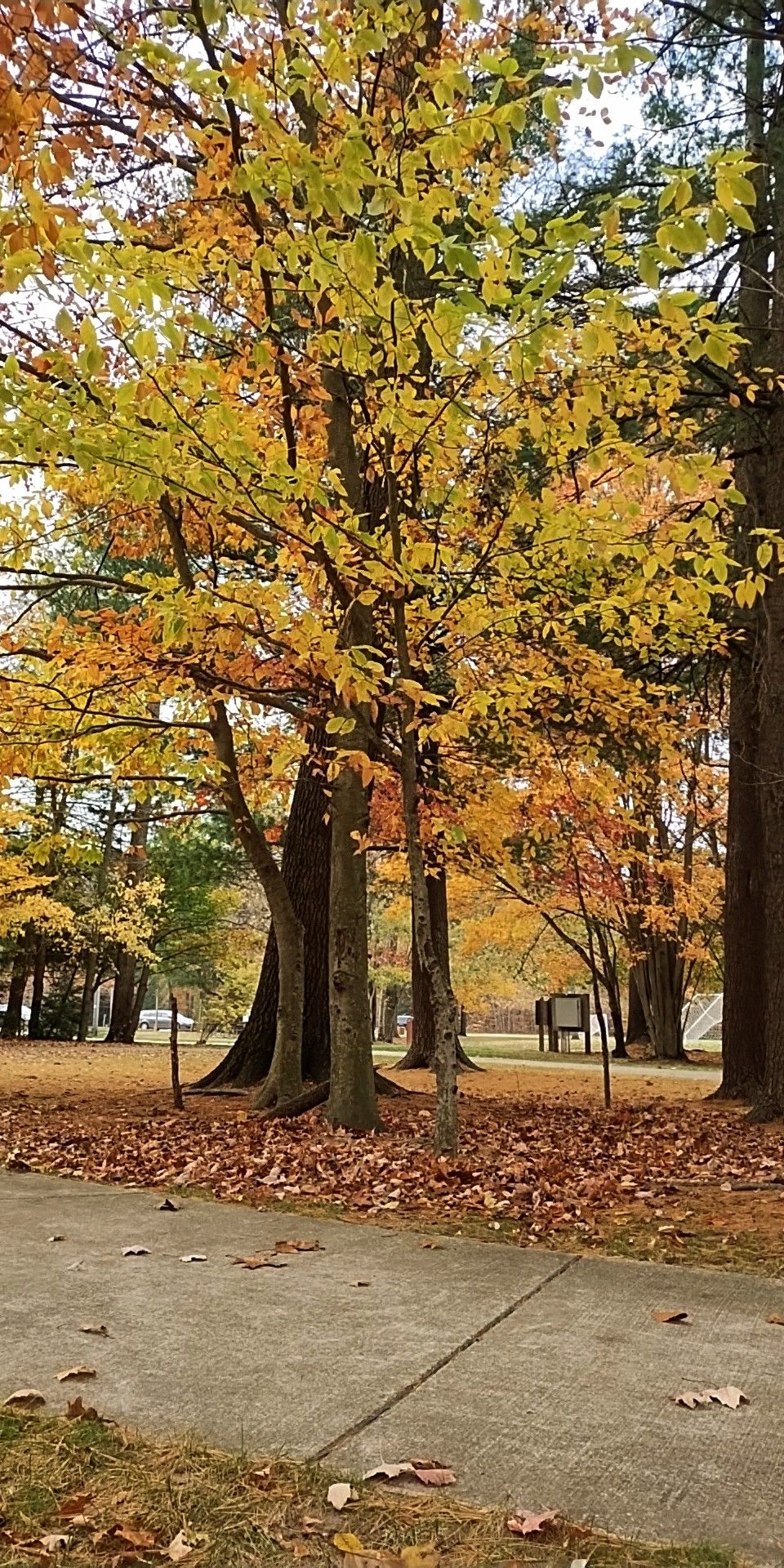 Go in nature – Grown in Faith